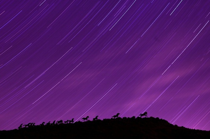 Star Trails by Ben Canales | Amusing Planet